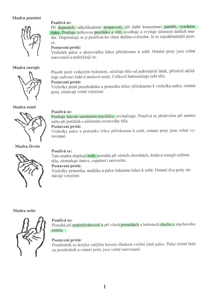Mudry 1. :: Cesta zdraví